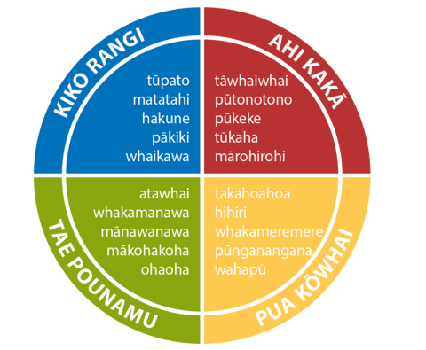 Our Story | The Colour Code